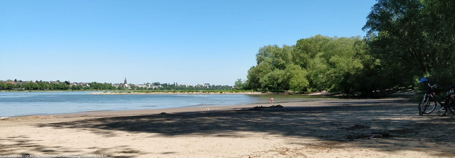 Immobilienpreise Köln Hahnwald - Wohnen & Leben im Veedel